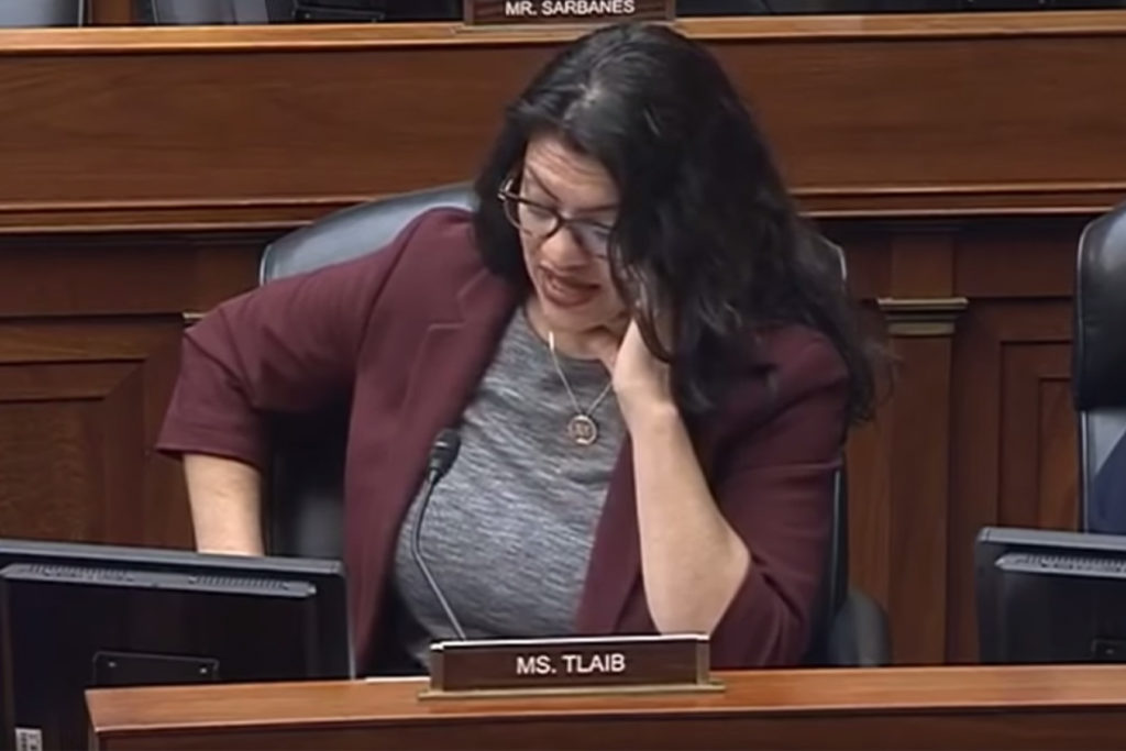 'Do I look white to you?' Tlaib accuses census director of 'erasing ...