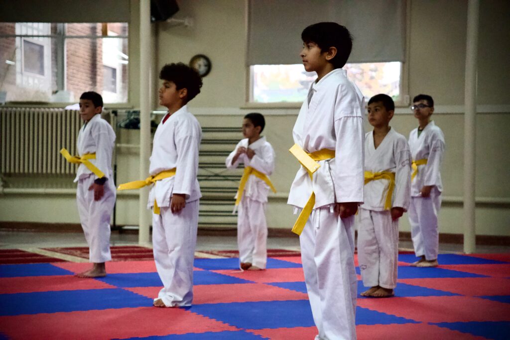 Karate Classes at Masjid Al-Huda: Learning from a champion - Wisconsin ...