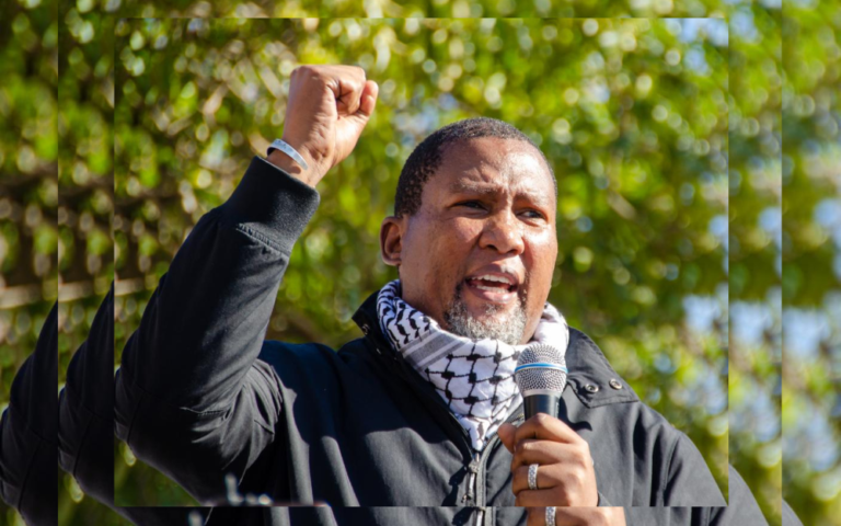 Grandson of anti-apartheid activist Nelson Mandela to commemorate the ...