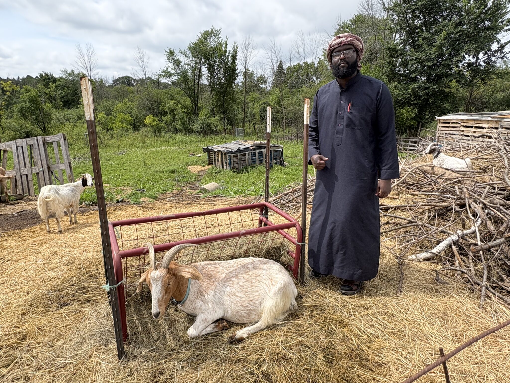 Visiting imam experiences farm life at Masjid Al Qur’an - Wisconsin ...